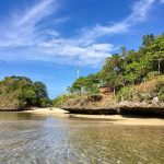 Guimaras Island Mangoes: A Tropical Delight - Simpol.ph
